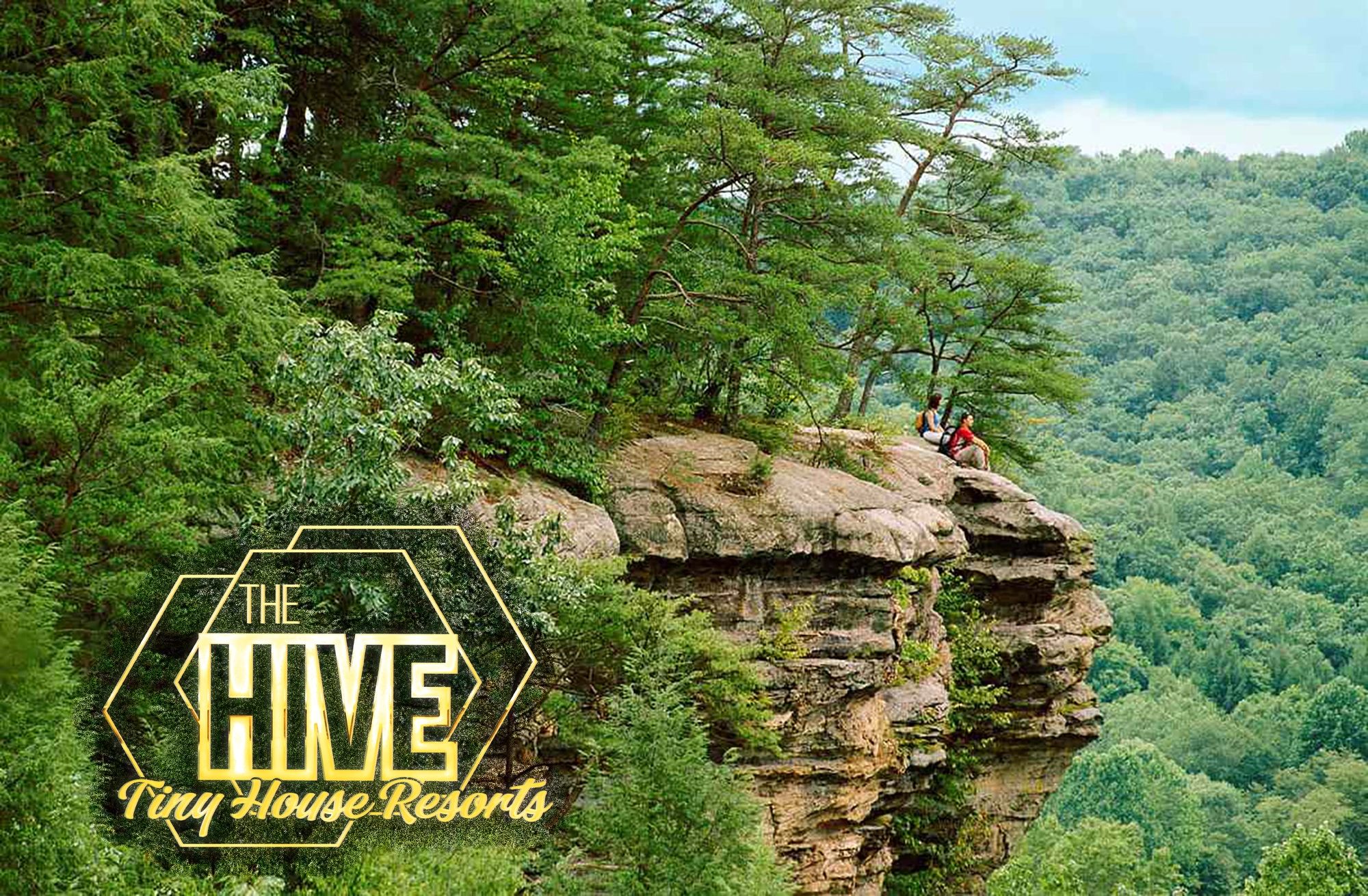 The Hive Tiny Houses